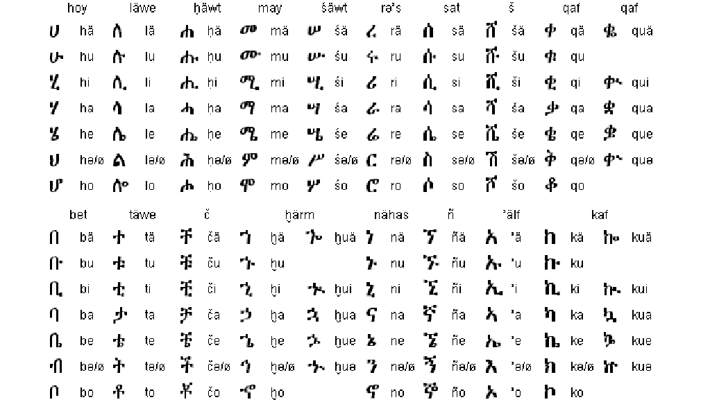 አፋን ኦሮሞ የኢትዮጵያ የሥራ ቋንቋ የመሆን ግዴታነትና የራሱ በሆነው በኢትዮጵያ ፊደል የመገልገል ተገቢነት ...