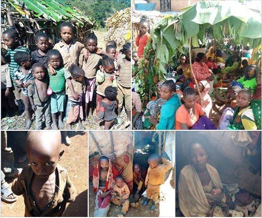 በጌዲዖ በረሐብ በየቀኑ ከ3-4 ሰው እንደሚሞት የወንጌላዊት ቤተክርስቲያን መካነየሱስ የደቡብ ሲኖዶስ ፕሬዝዳንት ...