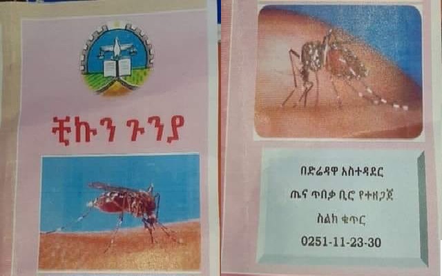 በድሬዳዋ ከሰባት ሺህ በላይ ሰው ቺኩንጉንያ በሚባል ወረርሽኝ በሽታ ተይዟል ተባለ | Mereja.com ...