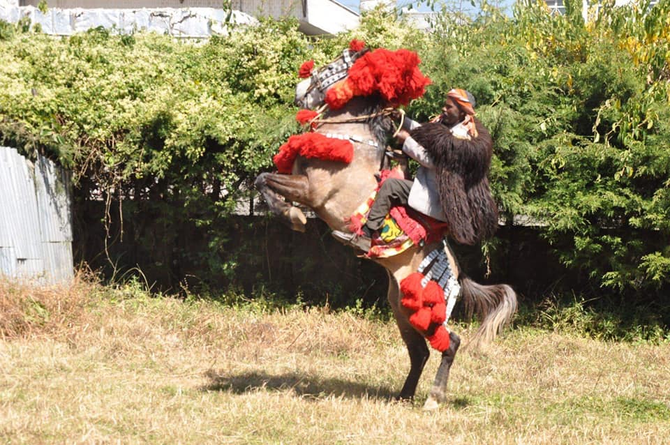 ፈረንሳይ ኢትዮጵያውያን ፈረሰኛ ወታደሮችን ለማሰልጠን ትፈልጋለች ተባለ | Mereja.com - Ethiopian ...