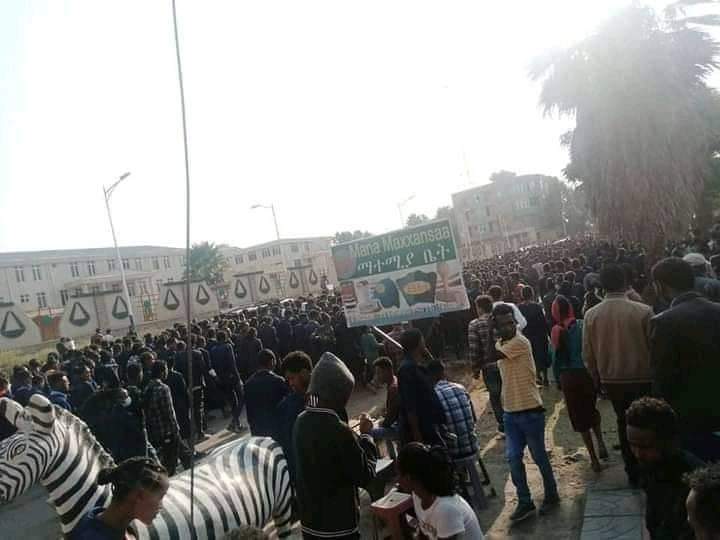 weliso protest | Mereja.com - Ethiopian Amharic News