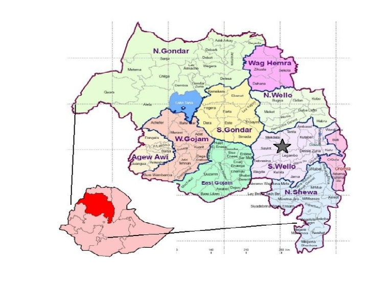 በአማራ ክልል ከተሞች ሰዓት እላፊና የእንቅስቃሴ ገደቦች መደረጉ ቀጥሏል | Mereja.com - Ethiopian ...