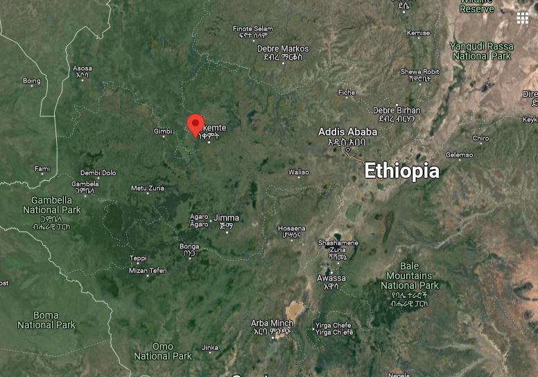 በምስራቅ ወለጋ ዞን በሚኖሩ አማራዎች ላይ የኦነግ ሸኔ ጦር ድንገተኛ ጥቃት በመፈጸም አምስት ሰዎች ገደለ ...