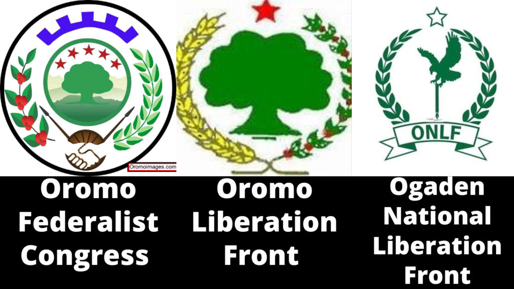የሀገራዊ ውይይት ኮሚሽኑ እና የኮሚሽኑ ዕጩ ኮሚሽነሮች አመራረጥ ሂደት ውክልናን የማያረጋግጥ፣ አሳታፊ ያልሆነ ...