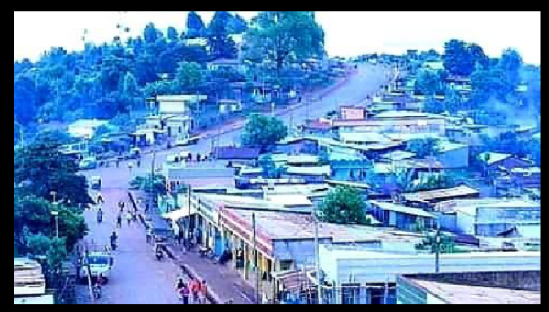 በደቡብ ክልል ደራሼ ልዩ ወረዳ ታጣቂ ቡድኖችጊዶሌ ከተማ ዘልቀው በመግባት የወረዳው አስተዳደር ሃላፊዎችን መኖሪያ ...