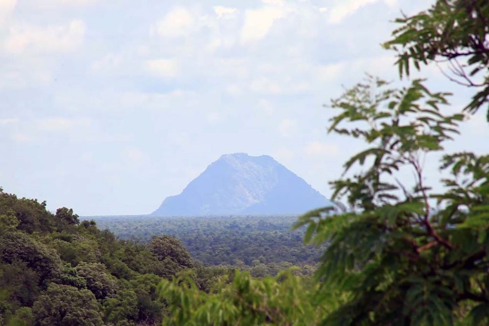 የቅማንት፣ የሕወሓትና የጉሙዝ ታጣቂዎች በጋራ ሸበል ስኳርና አጋዘን ተራራ ጥቃት ከፍተዋል | Mereja.com ...