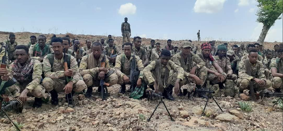 የደቡብ ወሎ ዞን ሀይቅ ከተማ አስተዳደር በፋኖ ላይ ወከባ እየፈጠሩ ነው ተባለ | Mereja.com ...