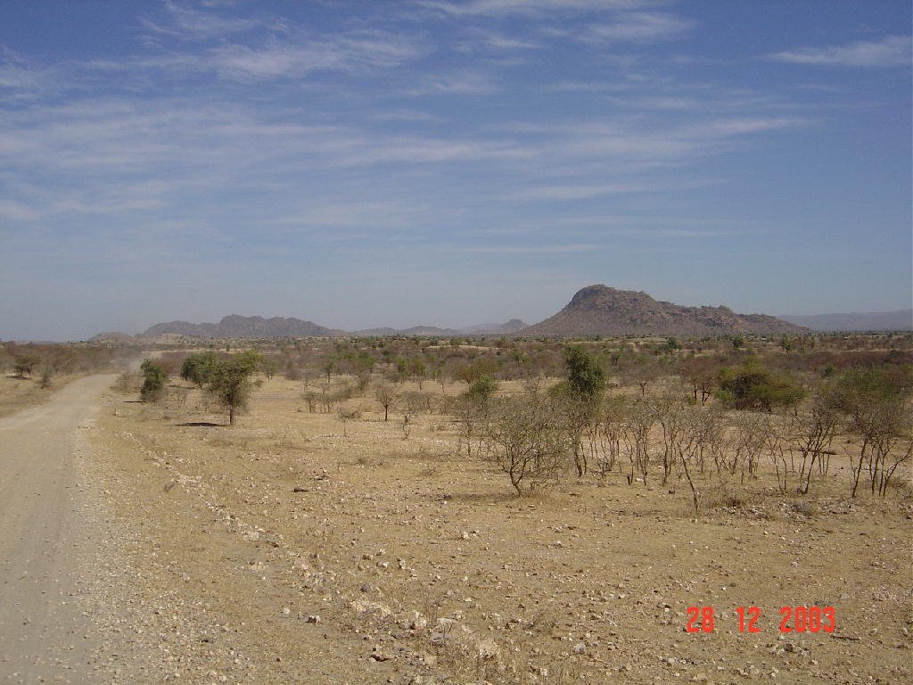 በሽራሮ 40 ገደማ ሴቶች መደፈራቸውን አንድ ሰነድ ይፋ አደረገ | Mereja.com - Ethiopian ...