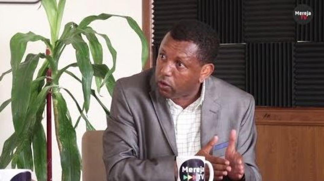 Ato Lidetu Ayalew expresses concern over extremism in Ethiopian politics